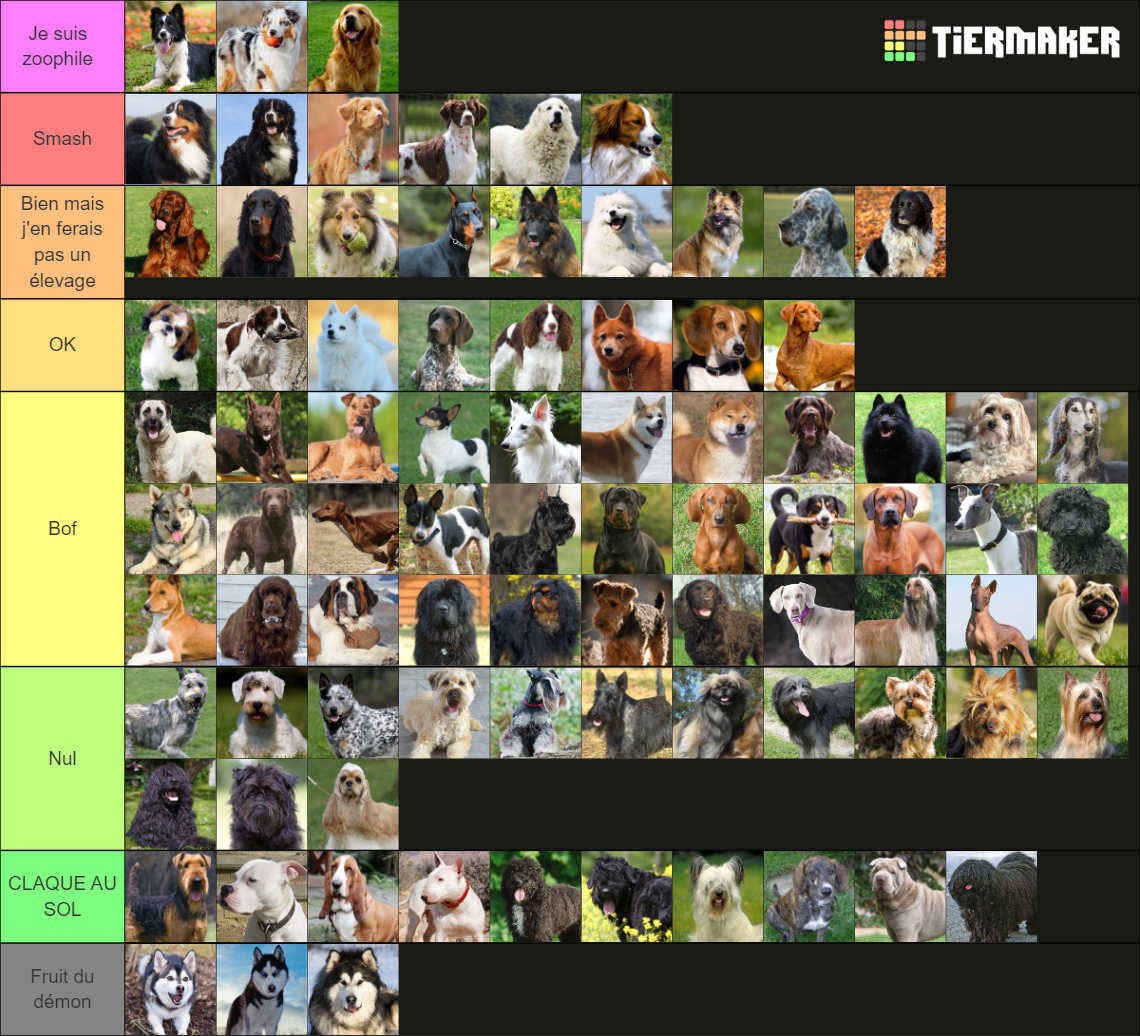 Dog Breeds Tier List (Community Rankings) - TierMaker