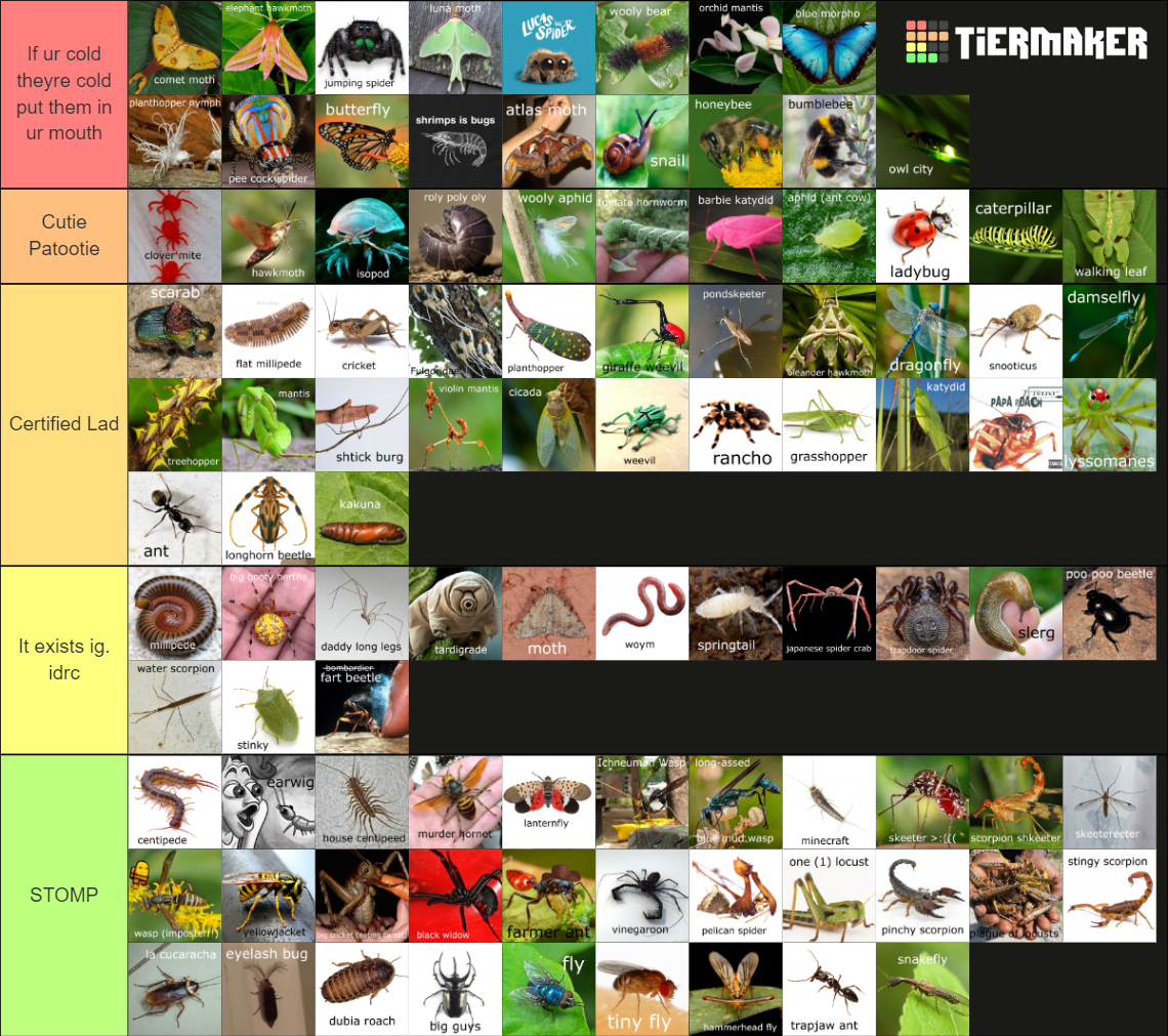 Bugs (Exhaustive & Labeled) Tier List (Community Rankings) - TierMaker