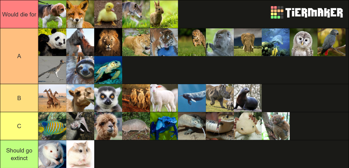 Animals Tier List (Community Rankings) - TierMaker