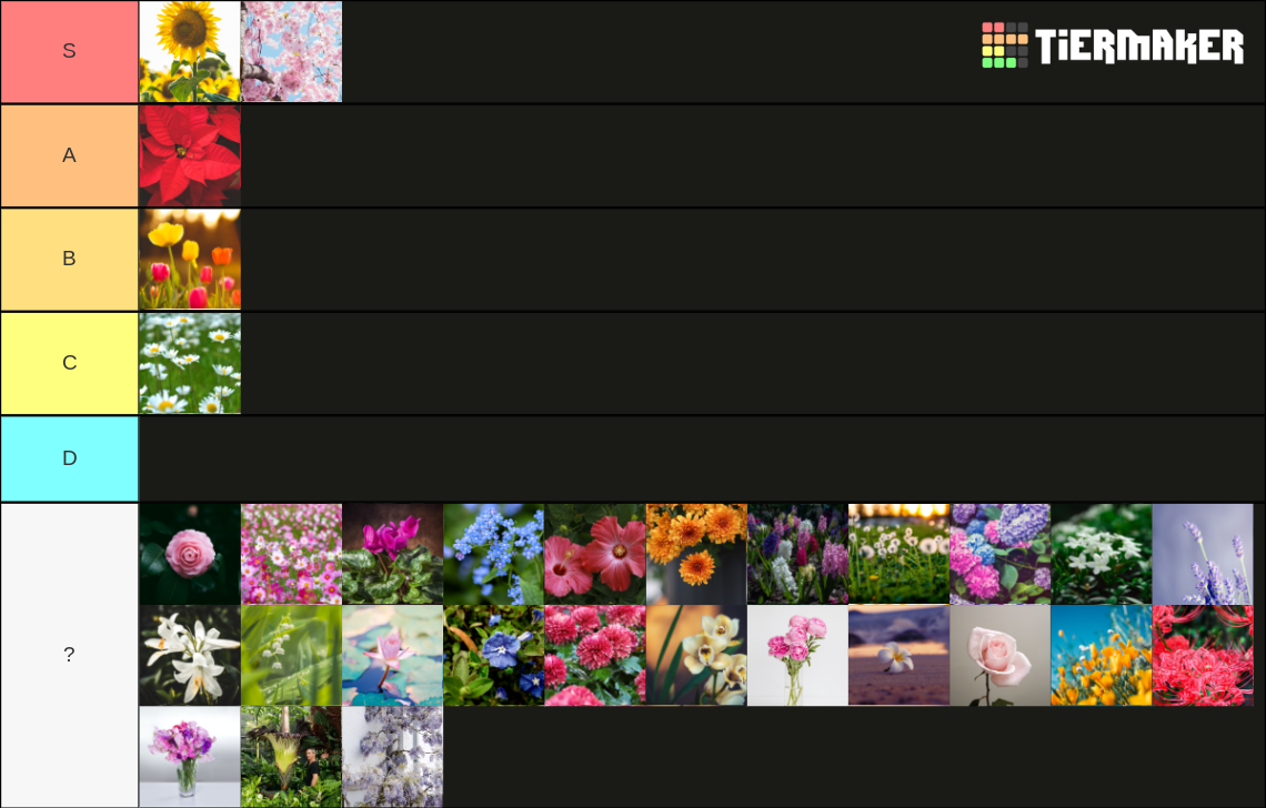 (Popular) Flowers Tier List (Community Rankings) - TierMaker