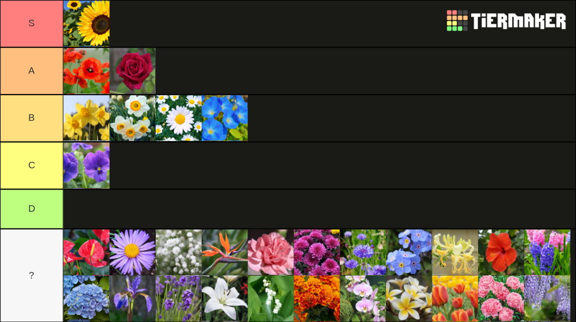 Ranking Flowers :D Tier List (Community Rankings) - TierMaker