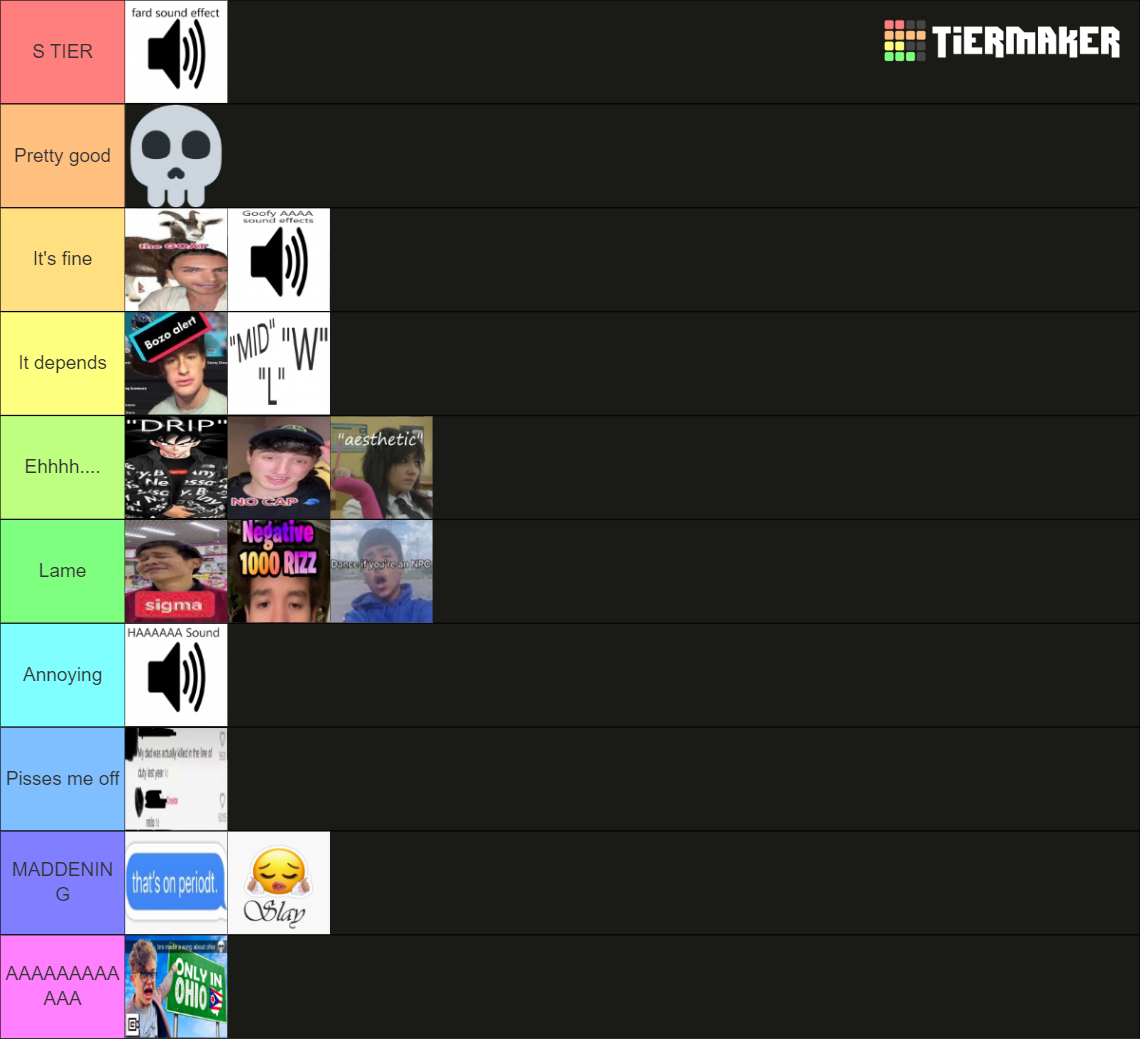 Gen Z Slang/Memes that are considered overused and annoying Tier List ...