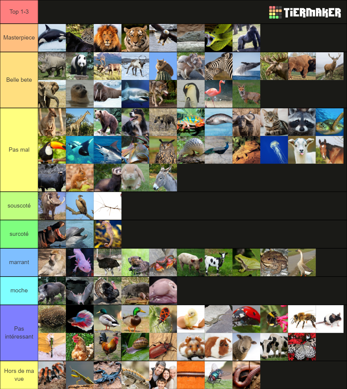 animaux classement Tier List (Community Rankings) - TierMaker
