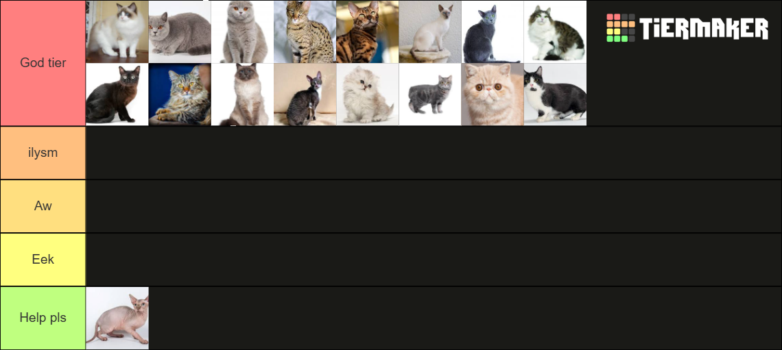 Cat breeds Tier List (Community Rankings) - TierMaker