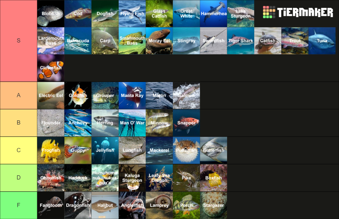 Fish Species Tier List (Community Rankings) - TierMaker