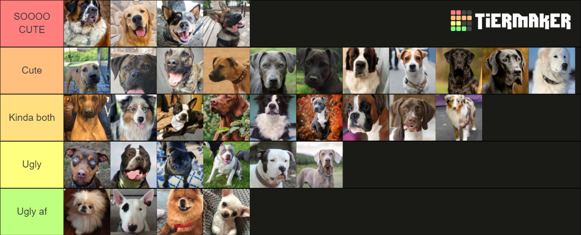 Dog breeds ranked Tier List (Community Rankings) - TierMaker