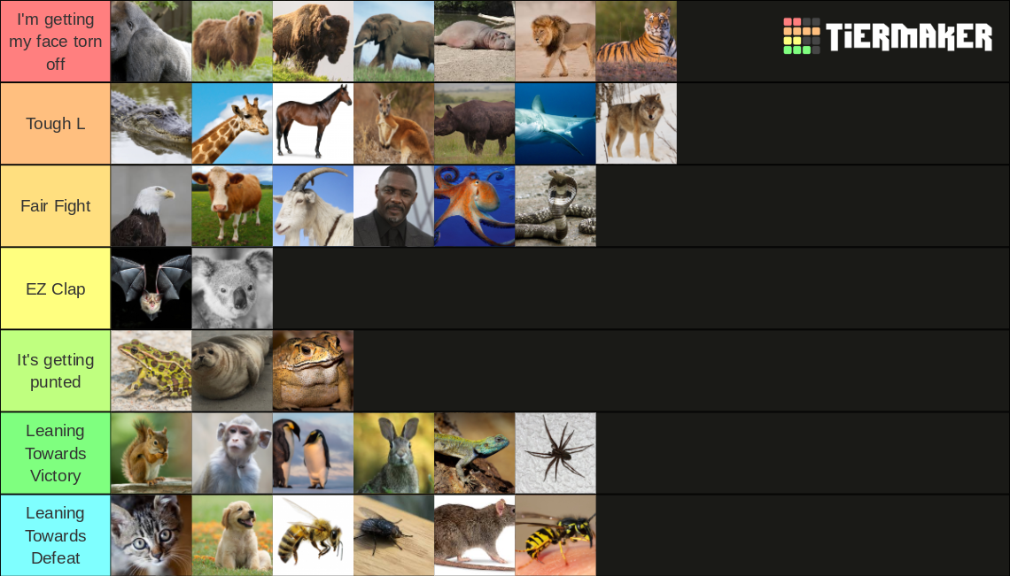 Animal Fight Tier List (Community Rankings) - TierMaker