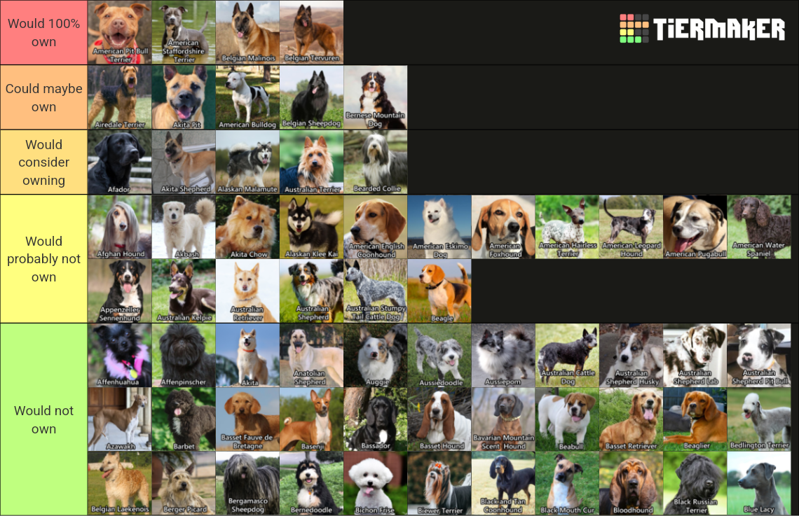 Dog Breeds Tier List (Community Rankings) - TierMaker
