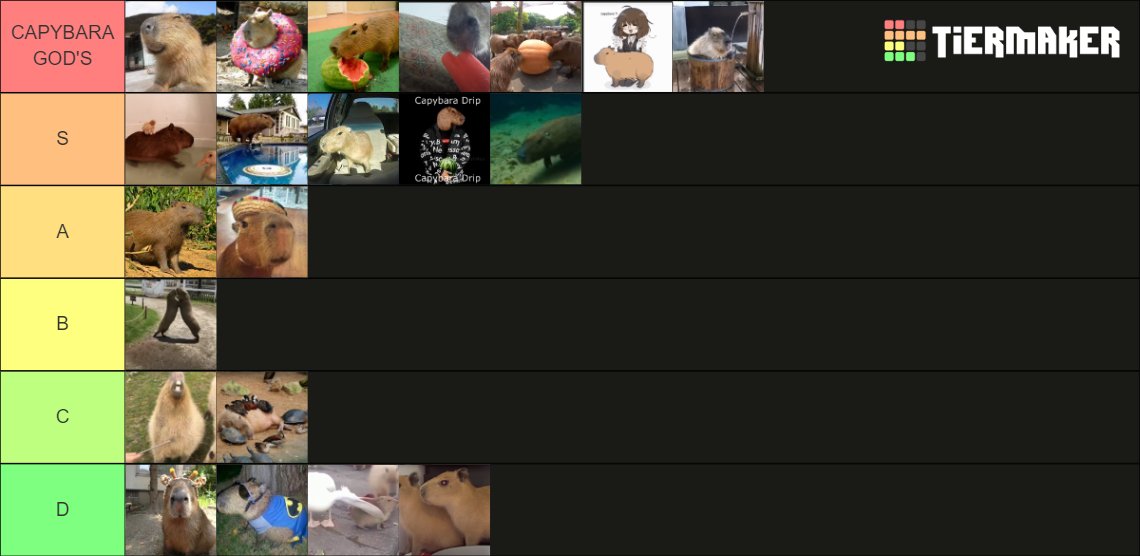 Capybara Tier List (Community Rankings) - TierMaker