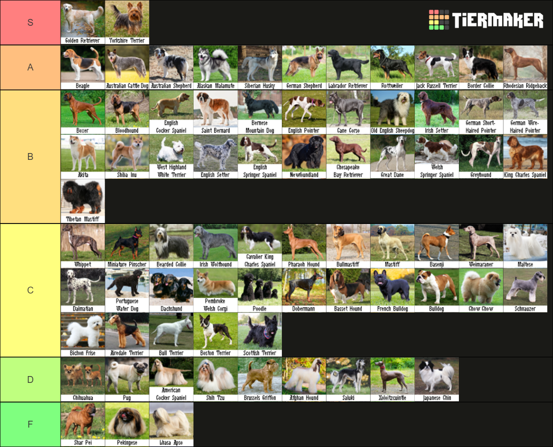 FCI Dog Breeds (Labeled) Tier List (Community Rankings) - TierMaker