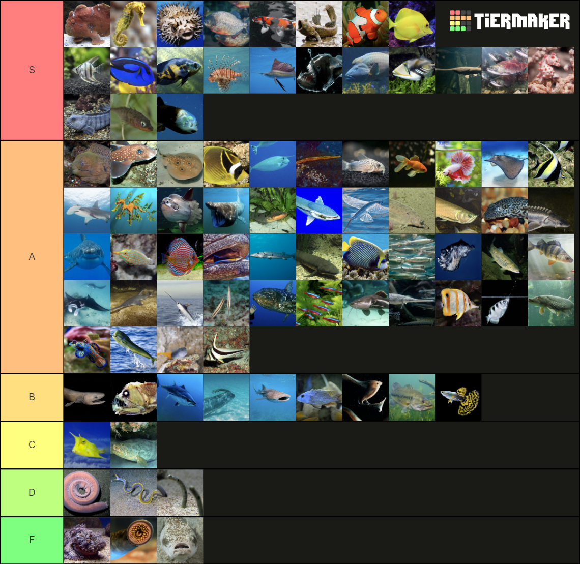 Fish Tier List (Community Rankings) - TierMaker