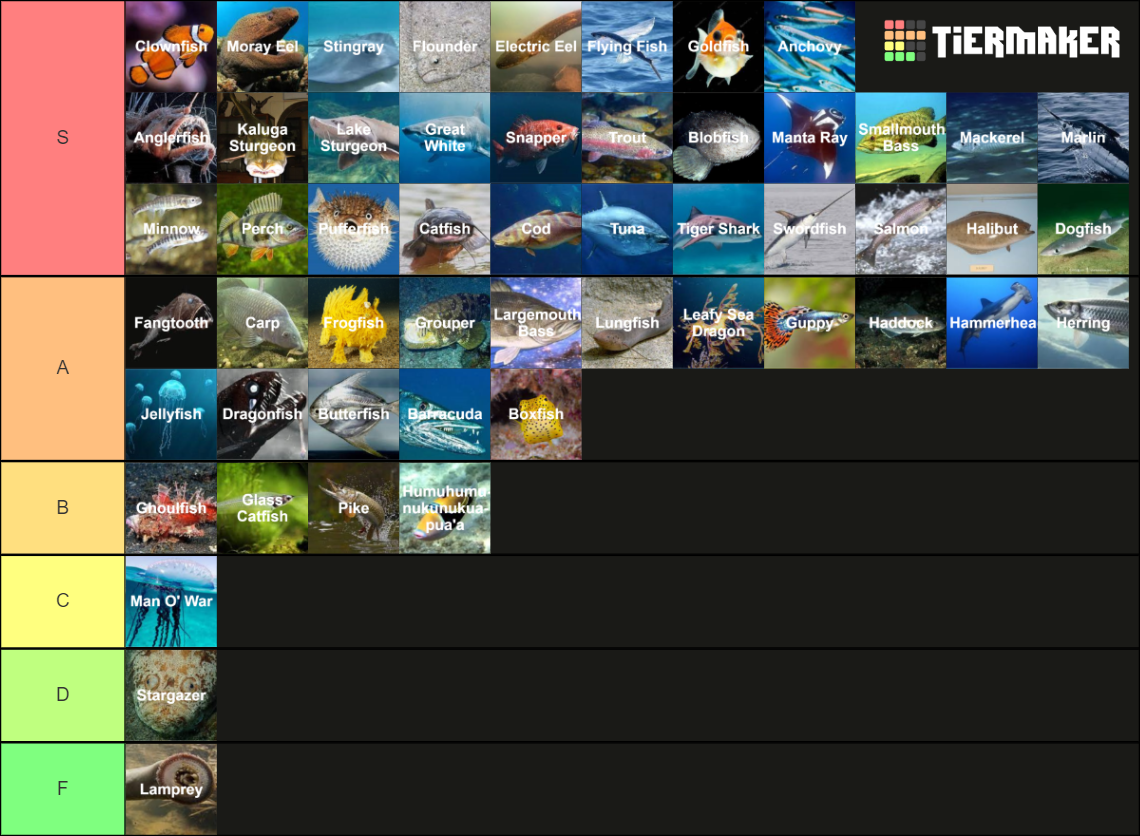 Fish Species Tier List (Community Rankings) - TierMaker