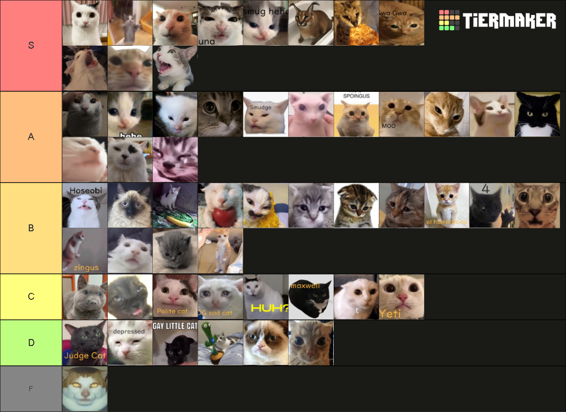 Meme Cat Hierarchy Tier List (Community Rankings) - TierMaker