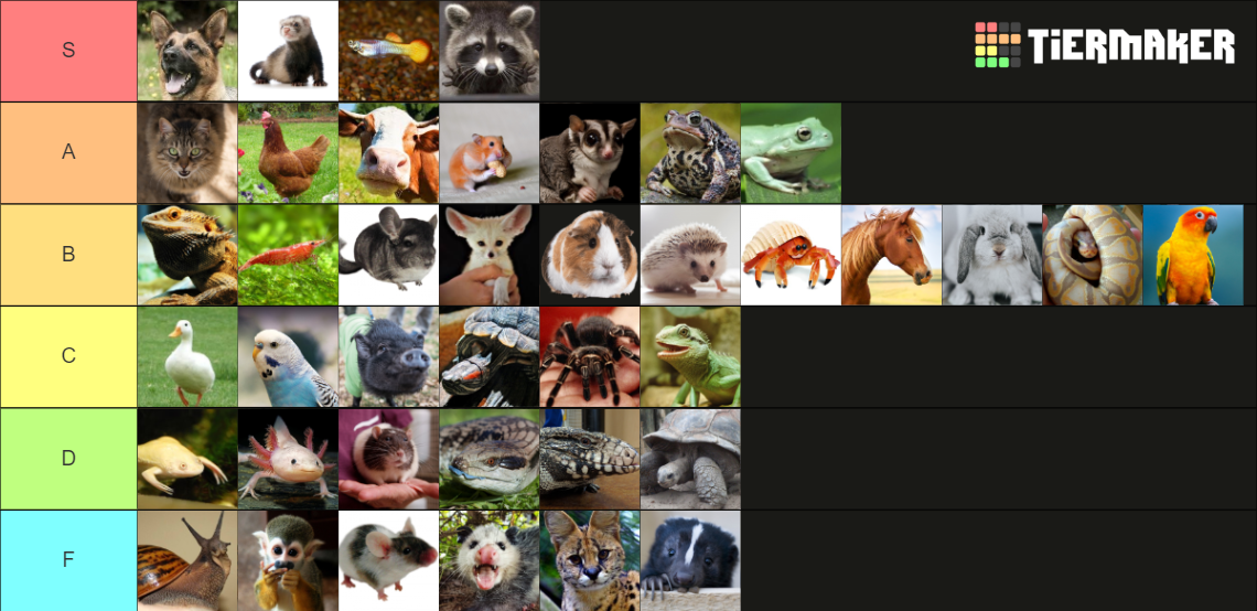 Recent Animals Tier Lists - TierMaker
