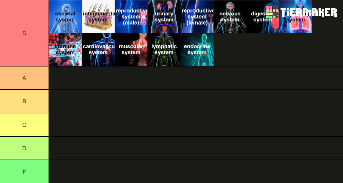 Human Body Systems Tier List (Community Rankings) - TierMaker