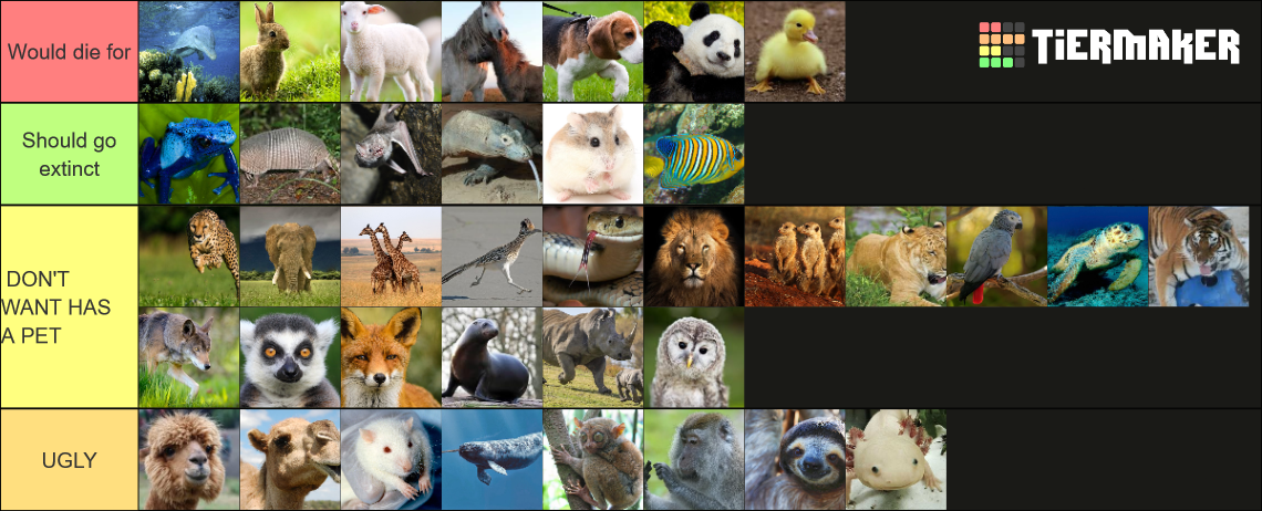 Animals Tier List (Community Rankings) - TierMaker