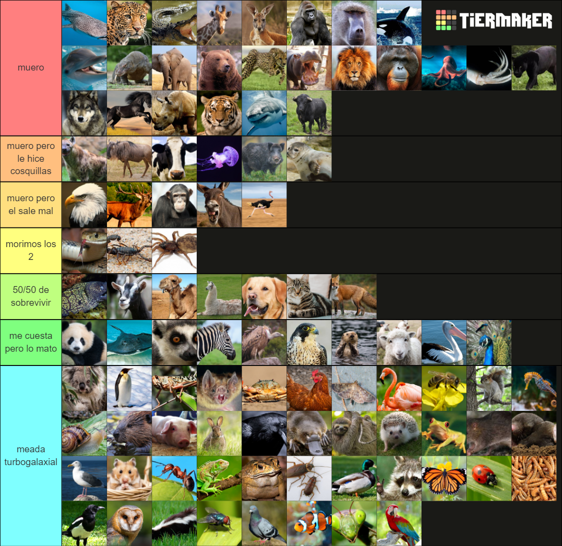 TIER LIST 100 ANIMALES SUPER DEFINITIVO Tier List (Community Rankings ...