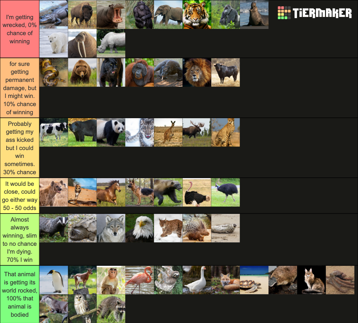 Animals I could fight Tier List (Community Rankings) - TierMaker