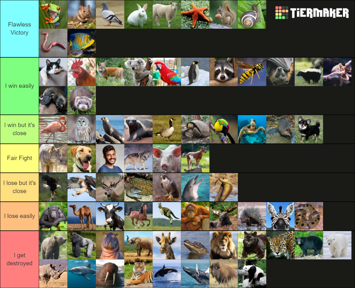 Could you beat these animals in a fight? Tier List (Community Rankings ...