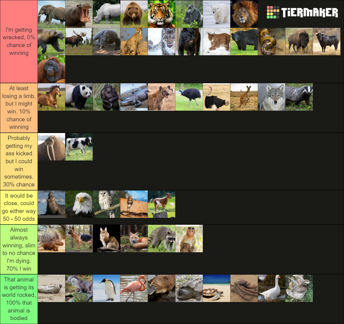 Animals I could fight Tier List (Community Rankings) - TierMaker
