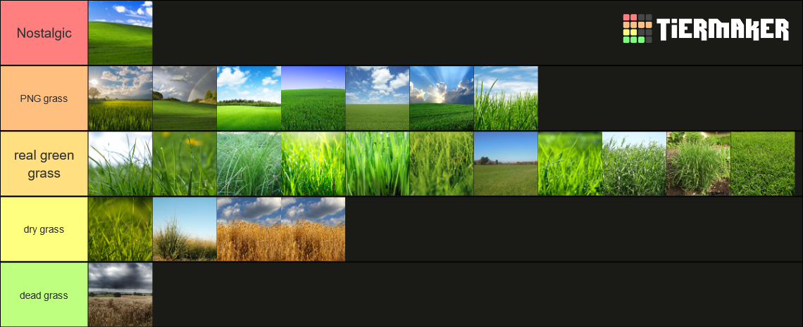 Grass Tier List (Community Rankings) - TierMaker