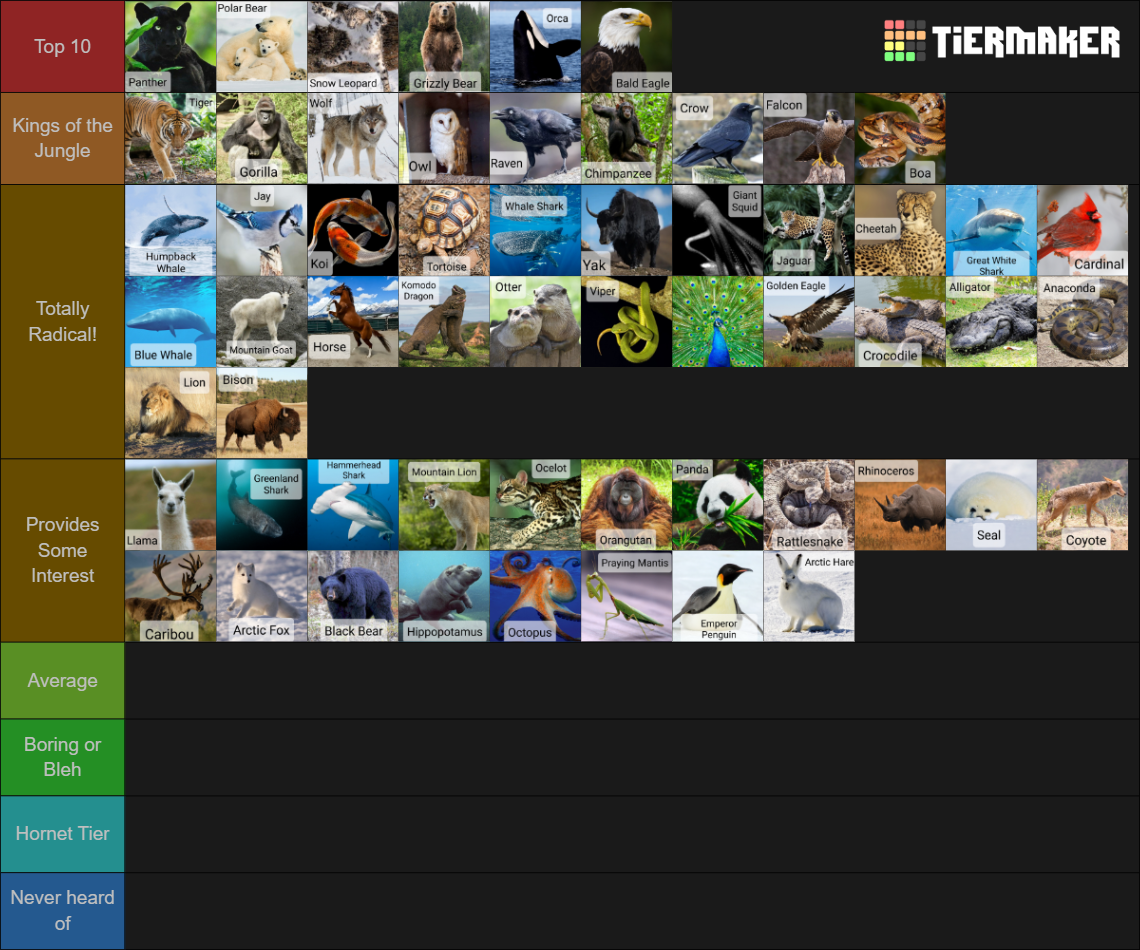Animals WITH LABELS (400+) Tier List (Community Rankings) - TierMaker