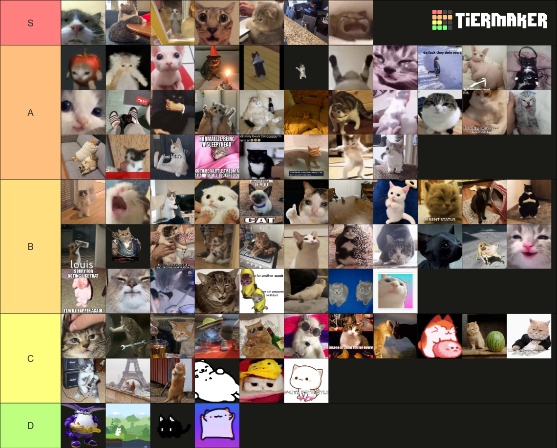 Timb's Cat Meme Tier List (Community Rankings) - TierMaker