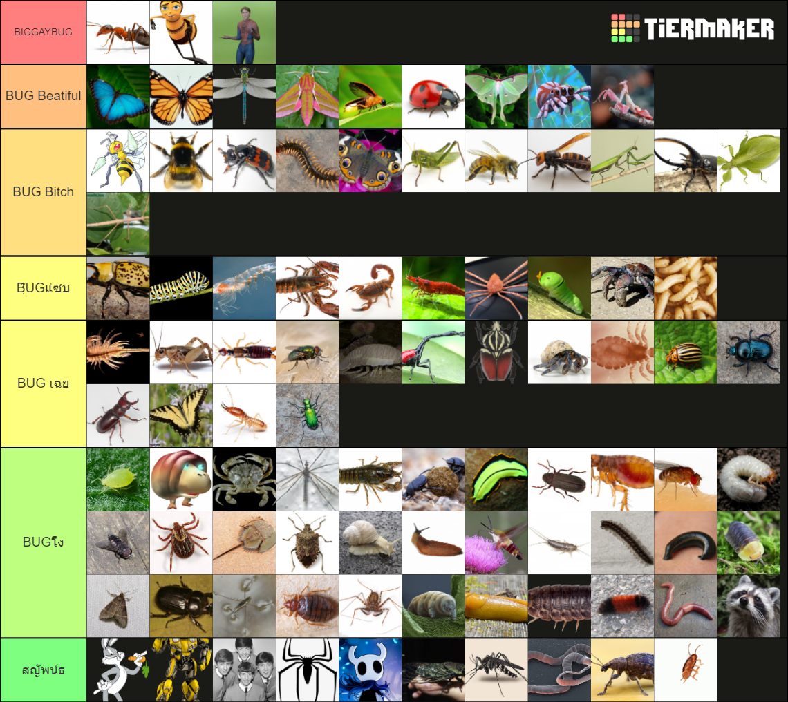 bug (improved) Tier List (Community Rankings) - TierMaker