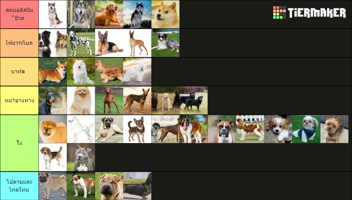Dog breed Tier List (Community Rankings) - TierMaker