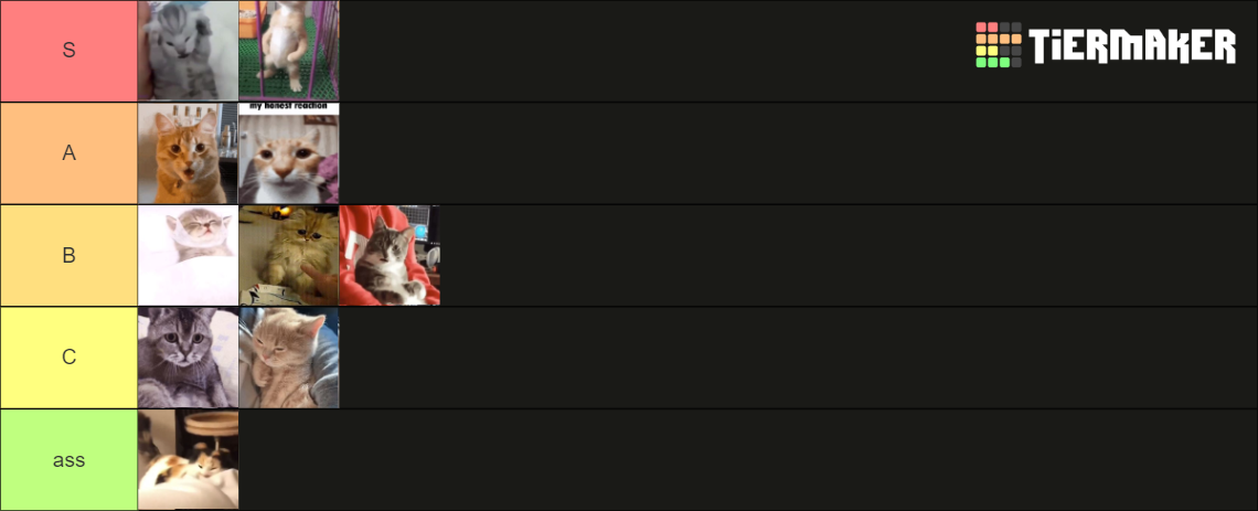cat gifs Tier List (Community Rankings) - TierMaker