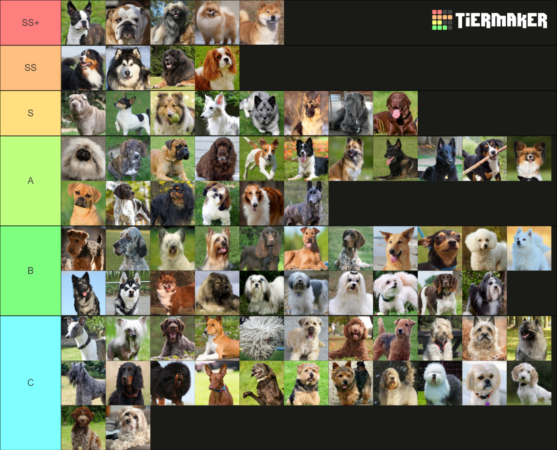 Dog Breeds Tier List (Community Rankings) - TierMaker
