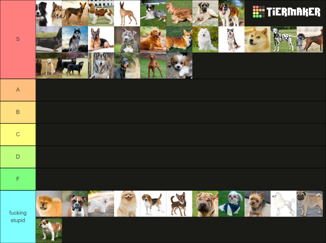 Dog breed Tier List (Community Rankings) - TierMaker