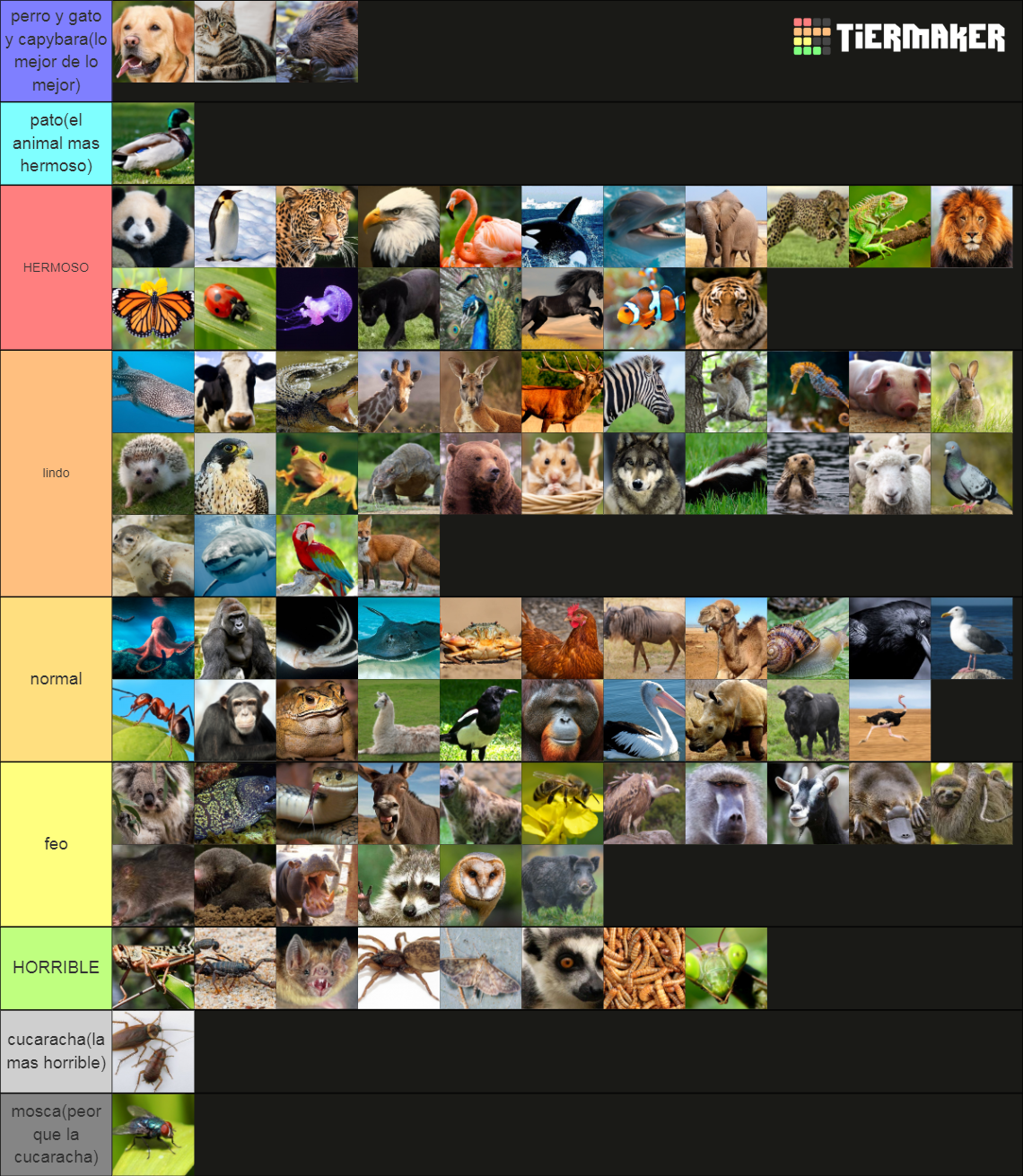 TIER LIST 100 ANIMALES SUPER DEFINITIVO Tier List (Community Rankings ...