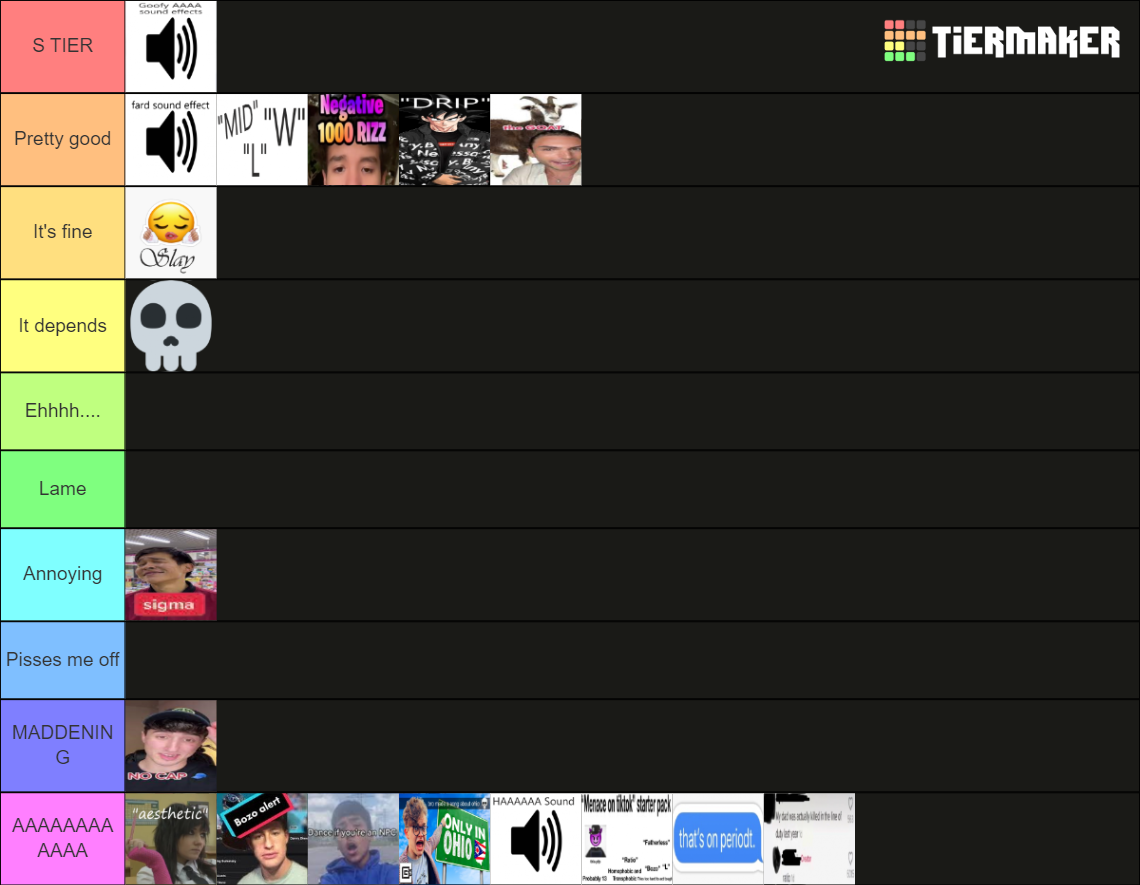 Gen Z Slang/Memes that are considered overused and annoying Tier List ...