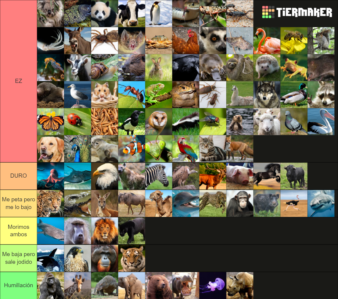 TIER LIST 100 ANIMALES SUPER DEFINITIVO Tier List (Community Rankings ...