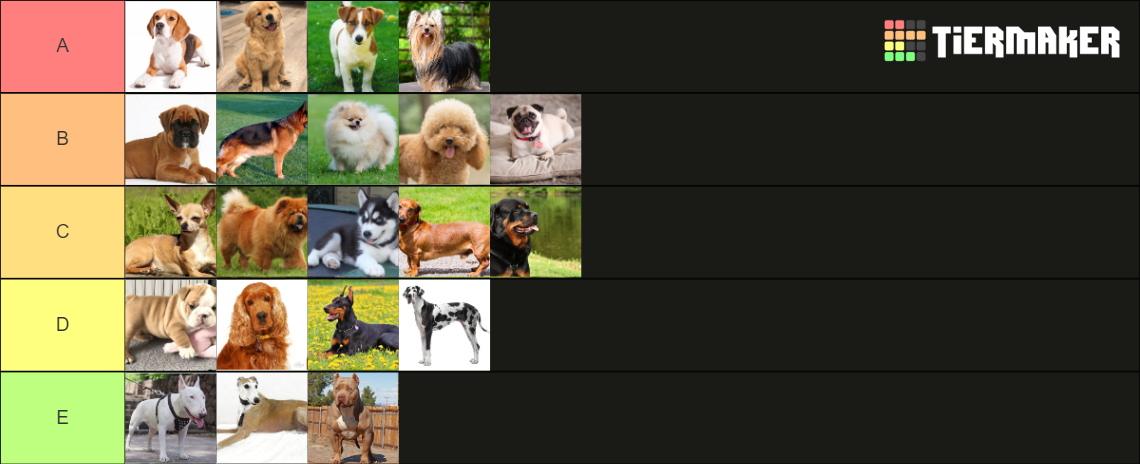 Dog Breeds Tier List (Community Rankings) - TierMaker