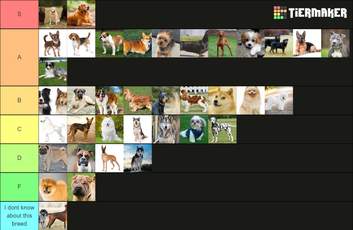Dog breed Tier List (Community Rankings) - TierMaker