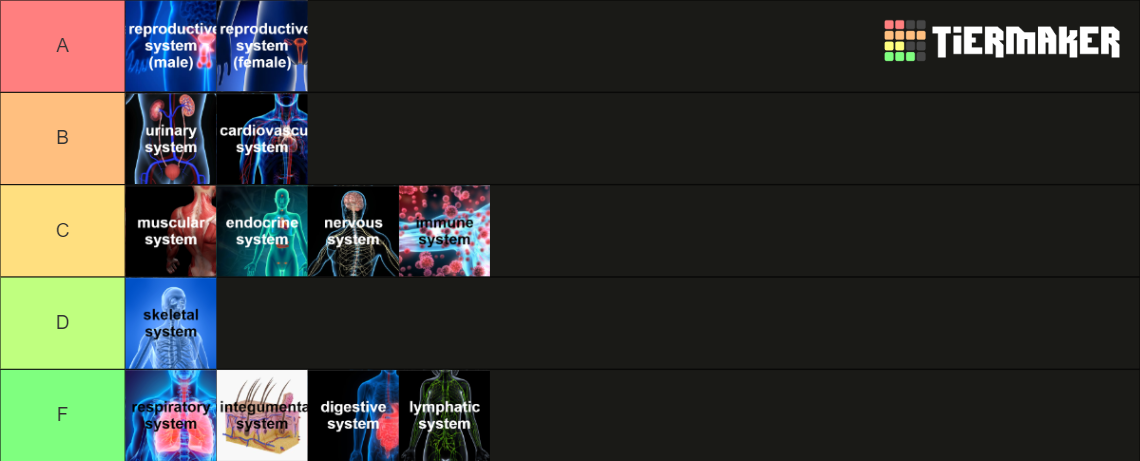 Human Body Systems Tier List (Community Rankings) - TierMaker