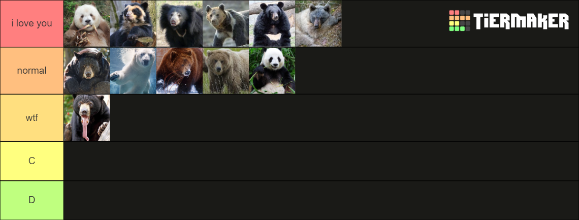 Bear Species Tier List (Community Rankings) - TierMaker