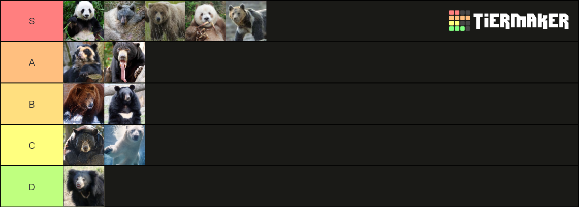 Bear Species Tier List (Community Rankings) - TierMaker