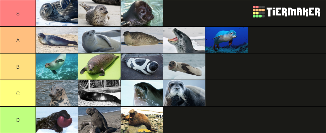 Seal Tierlist Tier List (Community Rankings) - TierMaker