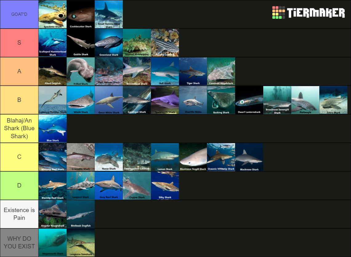 Extant Shark Species Tier List (Community Rankings) - TierMaker