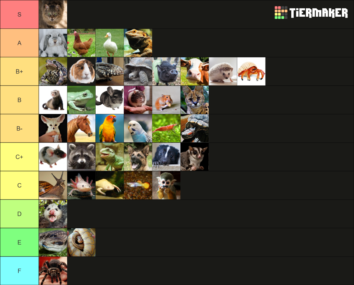 ULTIMATE PET TIER LIST Tier List (Community Rankings) - TierMaker