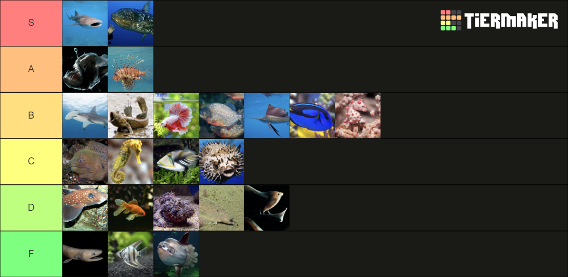 Fish Tier List (Community Rankings) - TierMaker