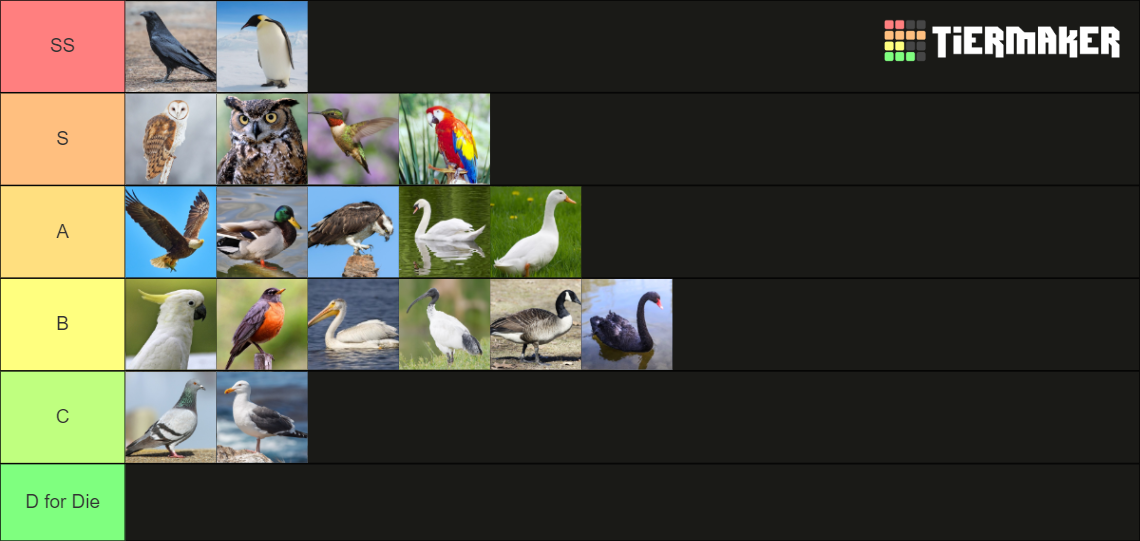 Birds Tier List (Community Rankings) - TierMaker