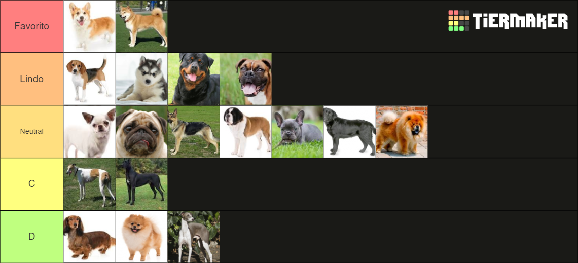 Best dog breeds! Tier List (Community Rankings) - TierMaker