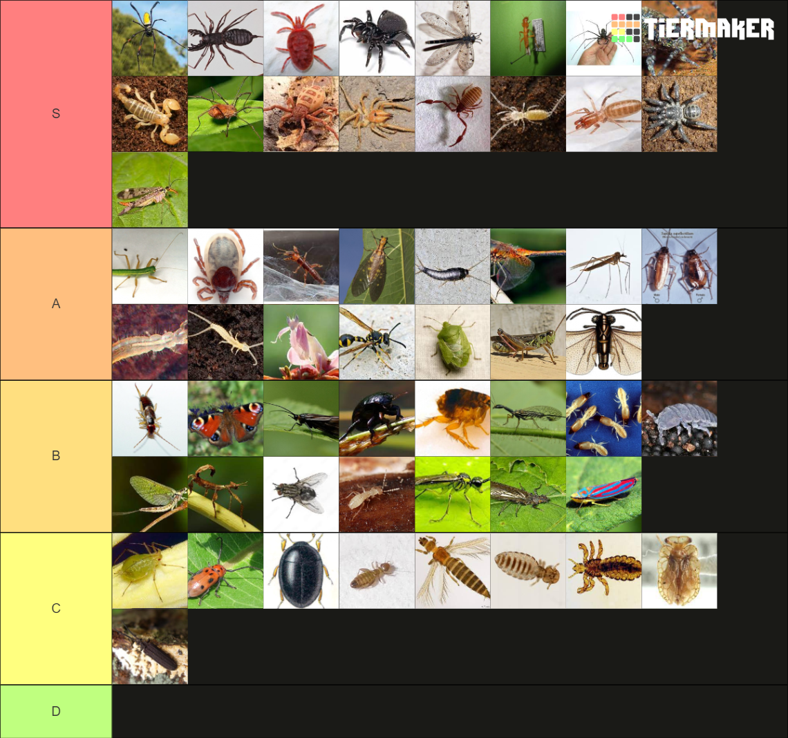 invertebrates 3 Tier List (Community Rankings) - TierMaker