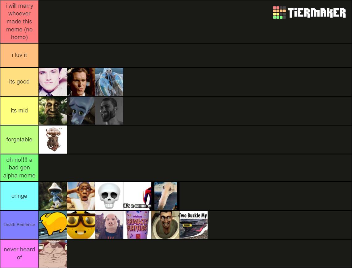 gen alpha memes Tier List (Community Rankings) - TierMaker