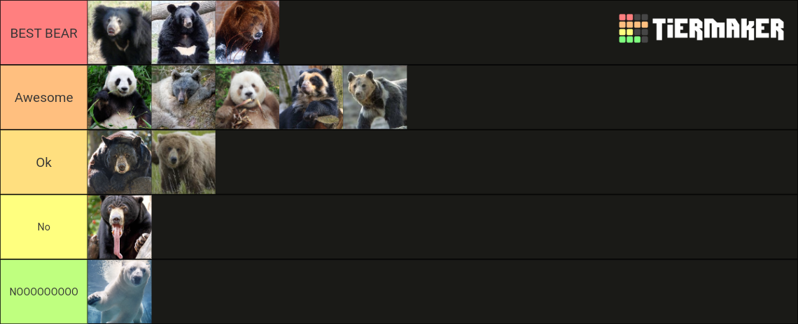 Bear Species Tier List (Community Rankings) - TierMaker