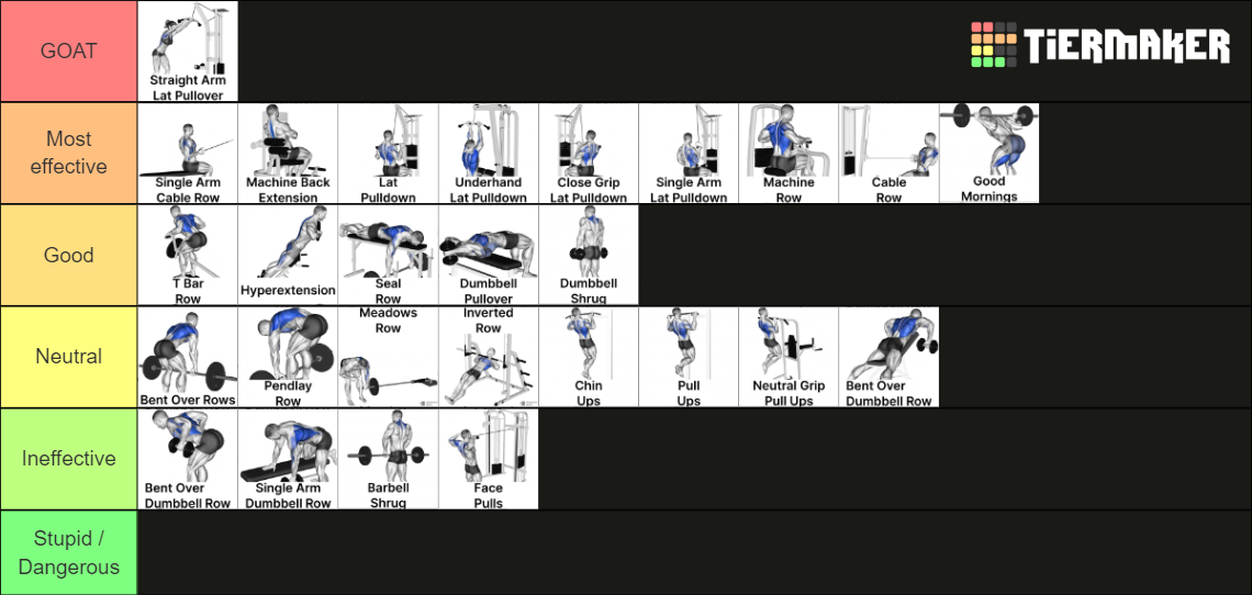 Best Back Exercises Tier List (Community Rankings) - TierMaker